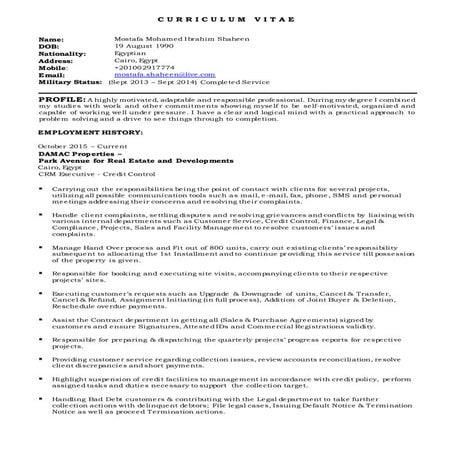 Mostafa Shaheen Word - CV | PDF