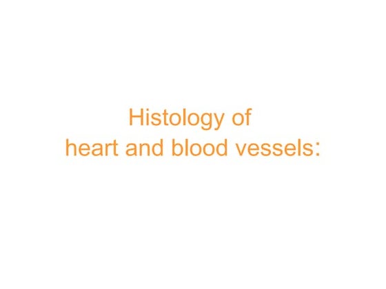(2) histology of blood vessels | PDF