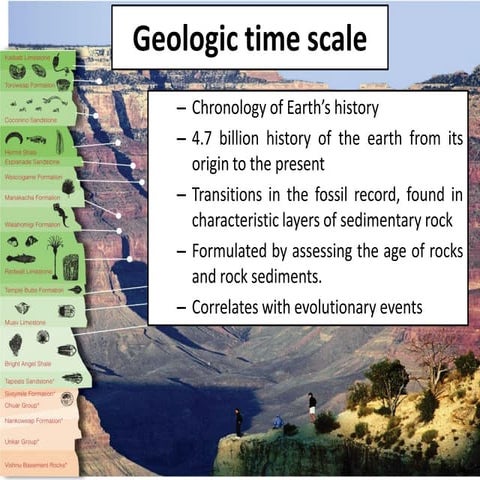 Geologic time scale and extinction | PDF