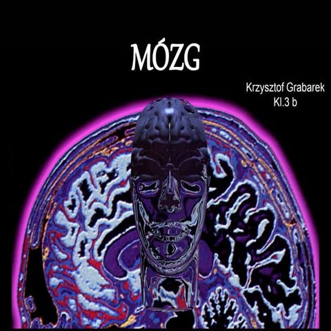 Krzysztof Grabarek 3B | PPT