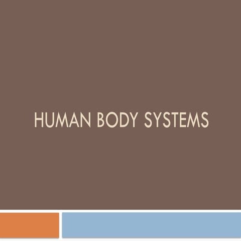 Systems of human body | PPTX