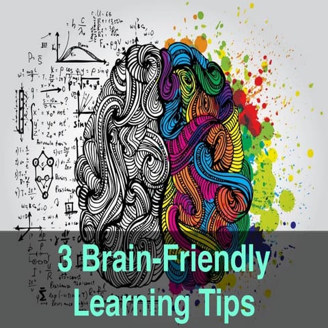 3 Brain-Friendly Learning Tips | PDF
