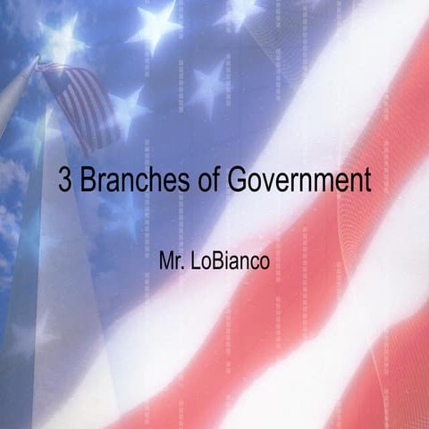 3 Branches of Government Review | PPT