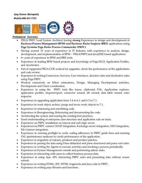 Pega Tutorial.pdf | Programming Languages | Computing