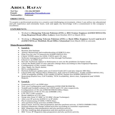 Abdul Rafay CV | PDF