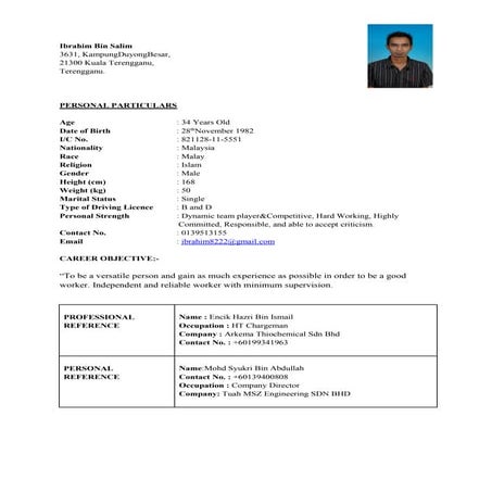 cv ibrahim (edited) | PDF