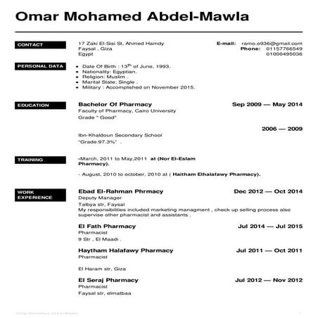 dina cv no pic | DOCX