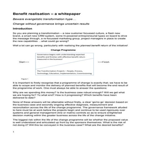 Benefit Realisation - a whitepaper | PDF