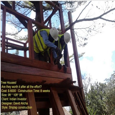treehouses | PPT