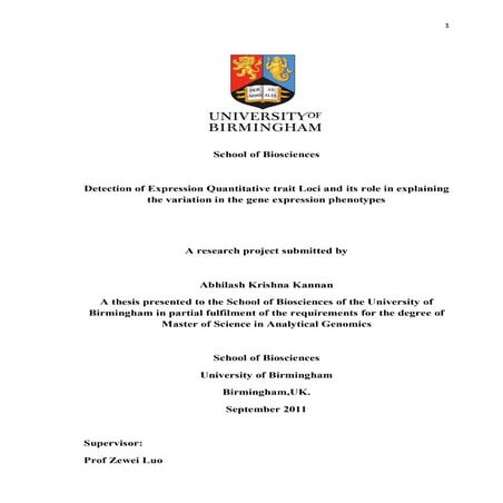 Masters Dissertation | PDF