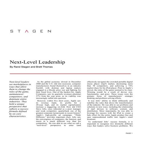 Next Level Leadership STAGEN | PDF