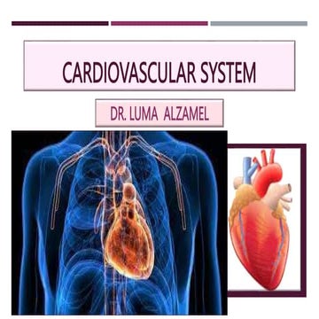 Cardiovascular system | PPT