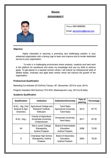 Martin Casey Resume LinkedIn | PDF