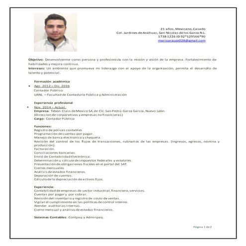CV Mario Araujo | DOCX