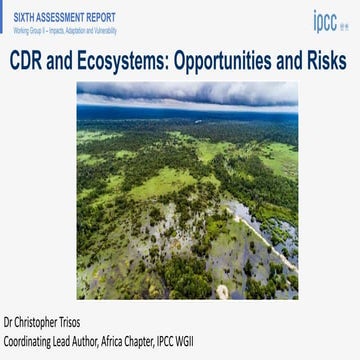 CDR and ecosystems: opportunities and risks | PPTX | Environment | Science