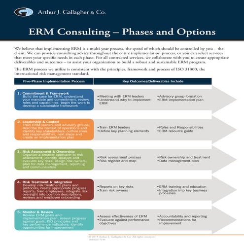 ERM Consulting Overview | PDF