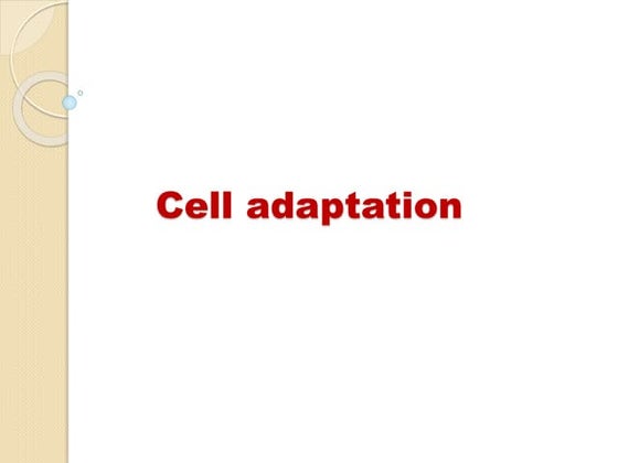 Cell Adaptations.pptxCell Adaptations.pptx