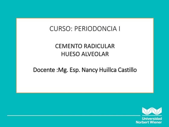 Cemento Radicular | PPT