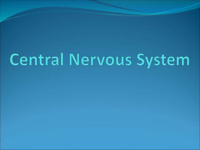 Nervous system of fish; a detailed study | PPTX