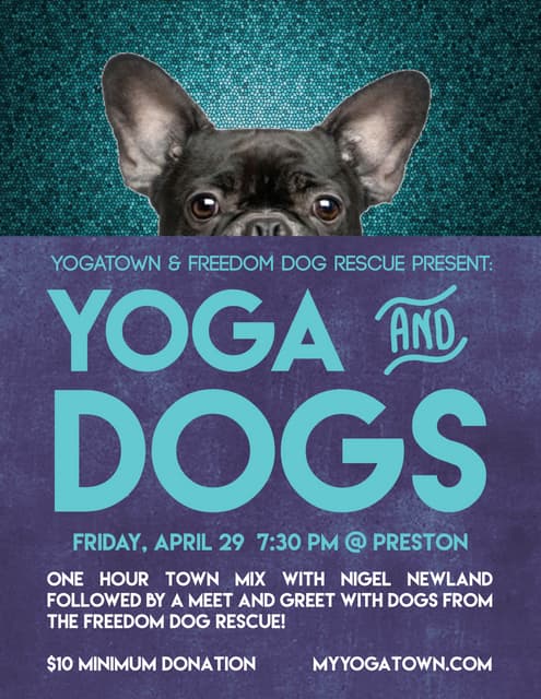 Dog Yoga Poster