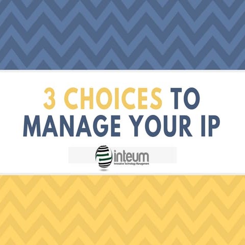 3 choices to manage your ip | PDF