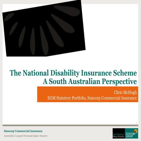 The National Disability Insurance Scheme A South Australian Perspective ...