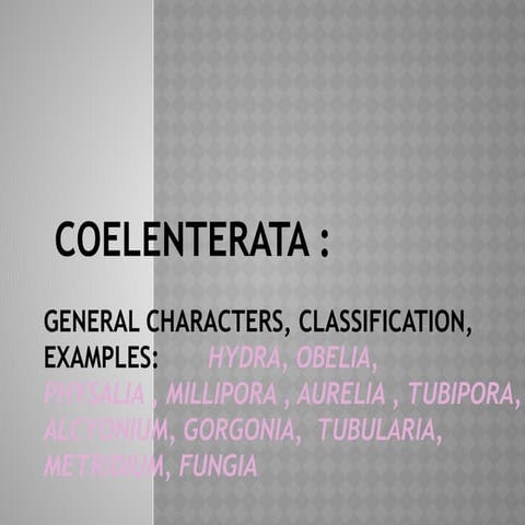 3 classification of coelenterata and animals | PPTX