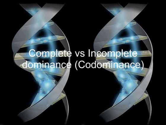 Punnett Square | PPTX