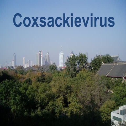 Coxsackie Virus | PPT