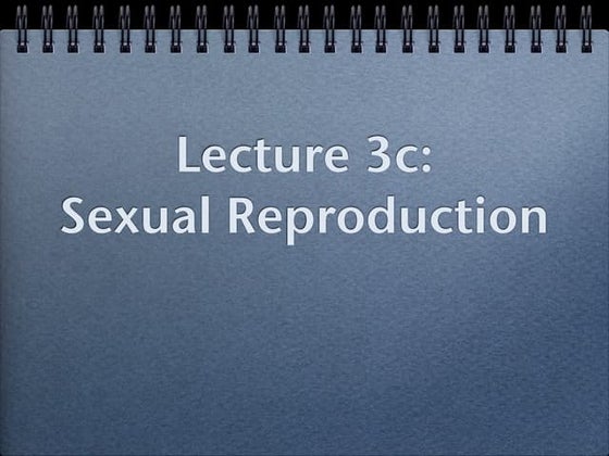 4.2 meiosis notes | DOC