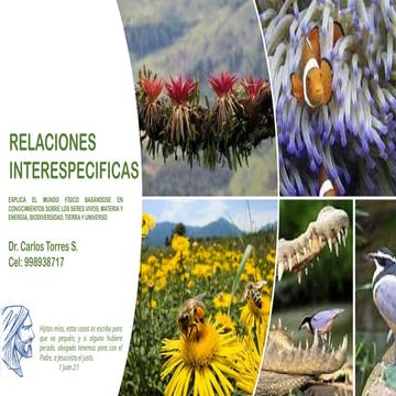 3 CT RELACIONES INTERESPECIFICAS (1).pptx