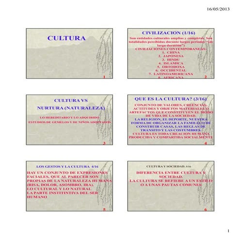 Cultura Macionis | PDF