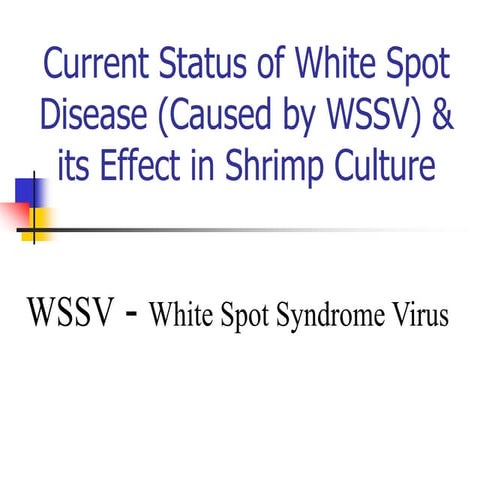 3 current status of wssv 2012 8-21-12 version | PPT