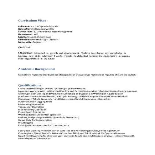 New CV for Victor | DOCX | Technology & Computing