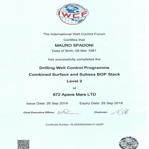 IWCF certificate | PDF