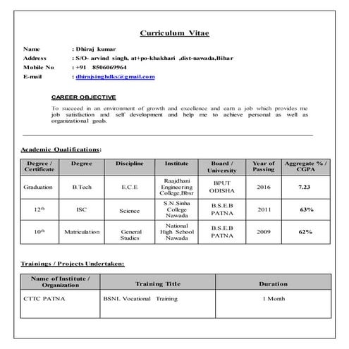 DHIRAJ Resume | PDF