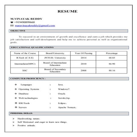 Java Resume(jsp) | DOCX