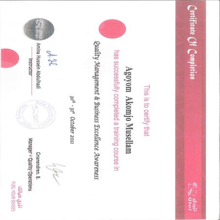 Mobile Money Project Certificate | PDF