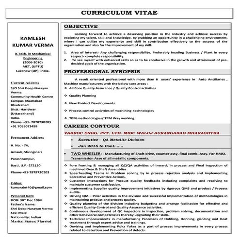 Kamlesh updated cv | DOC | Business | Business and Finance