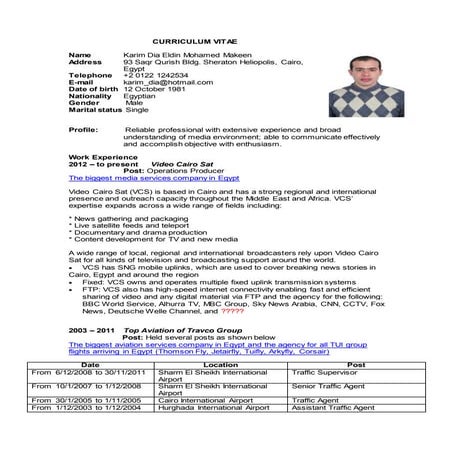 Karim Makeen's CV (media) | PDF