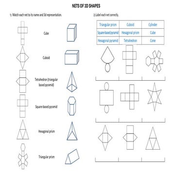 3d shapes and nets worksheets powerpoint | PDF