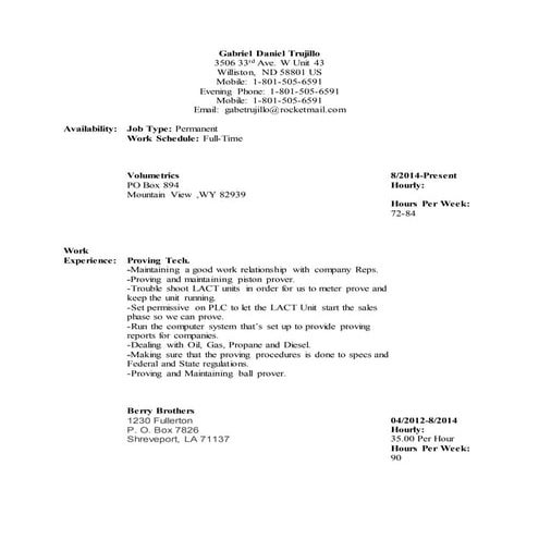 DaveZummerResume | DOC