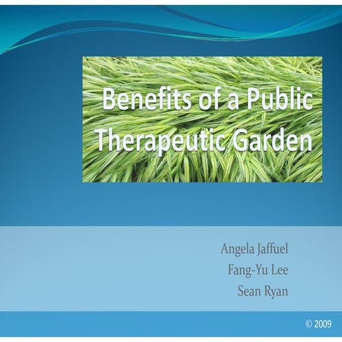 Final Therapeutic Landscapes | PDF