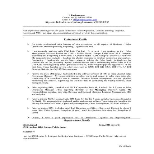 CV Raghu_Oct 2016 | DOC | Sales | Business
