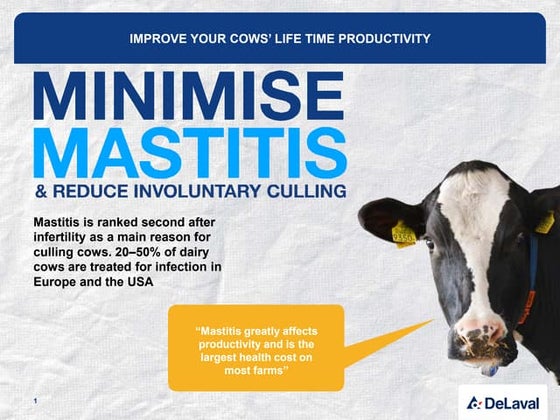 Mastitis in cattle, buffalo | PPT | Ear, Nose and Throat Conditions | Diseases and Conditions