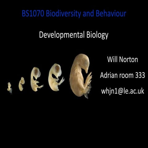 3 Developmental Biology Norton_2019.pptx