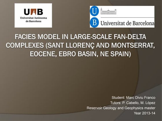 Direct hydrocarbon indicators (DHI) | PDF