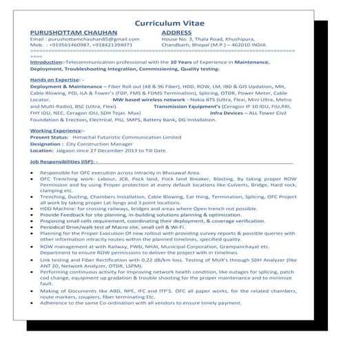 Telecom Resume | DOC