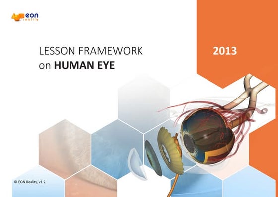 Cow eye – dissection and label | PPT