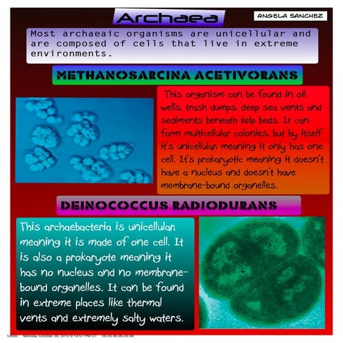 3 domain poster | PDF